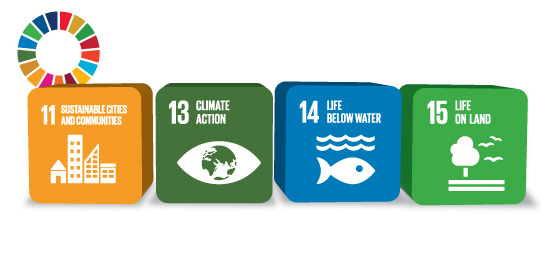 ONU-Habitat - Test: How much do you know about sustainable development ...